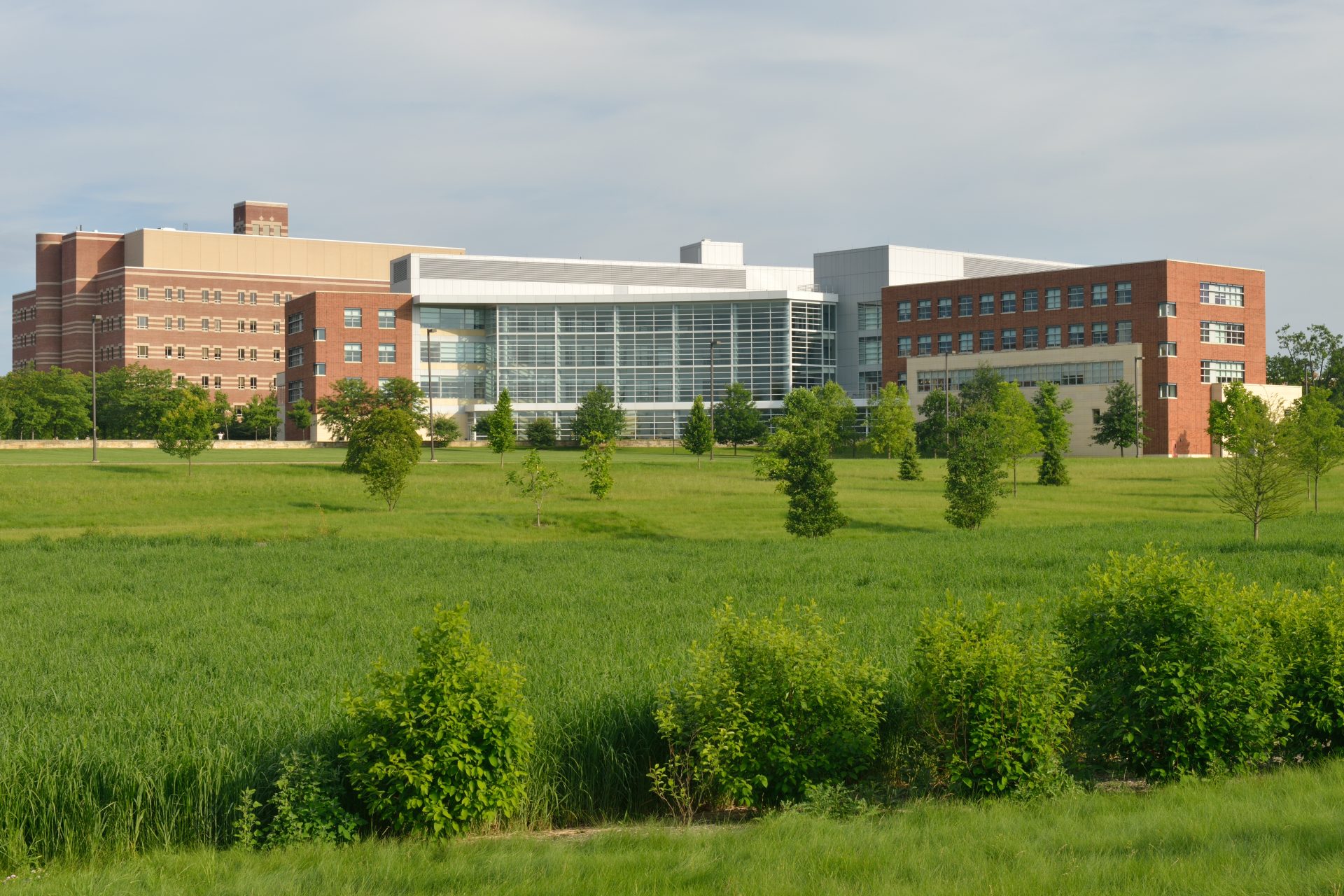 Penn State Professor, 64, Admits To Sexual Intercourse With Dog