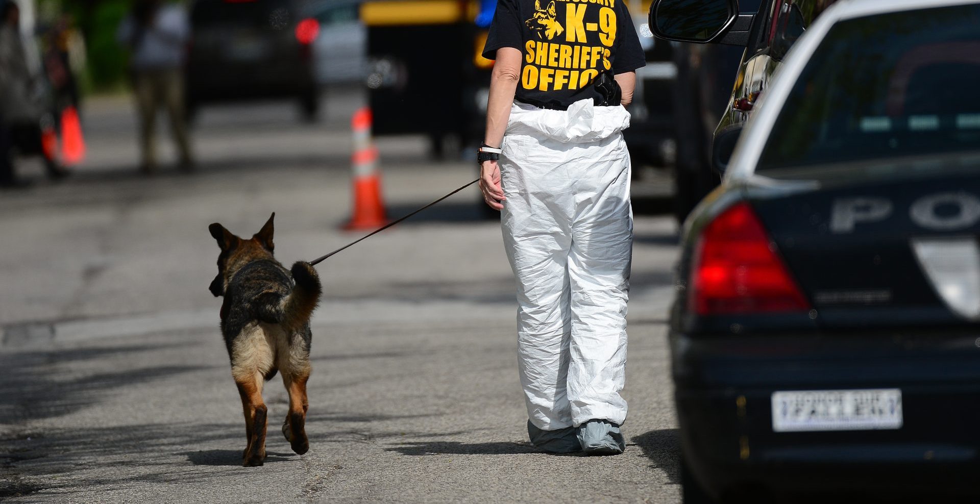 Ohio Officer On Paid Leave After K-9 Attacks Unarmed Black Man