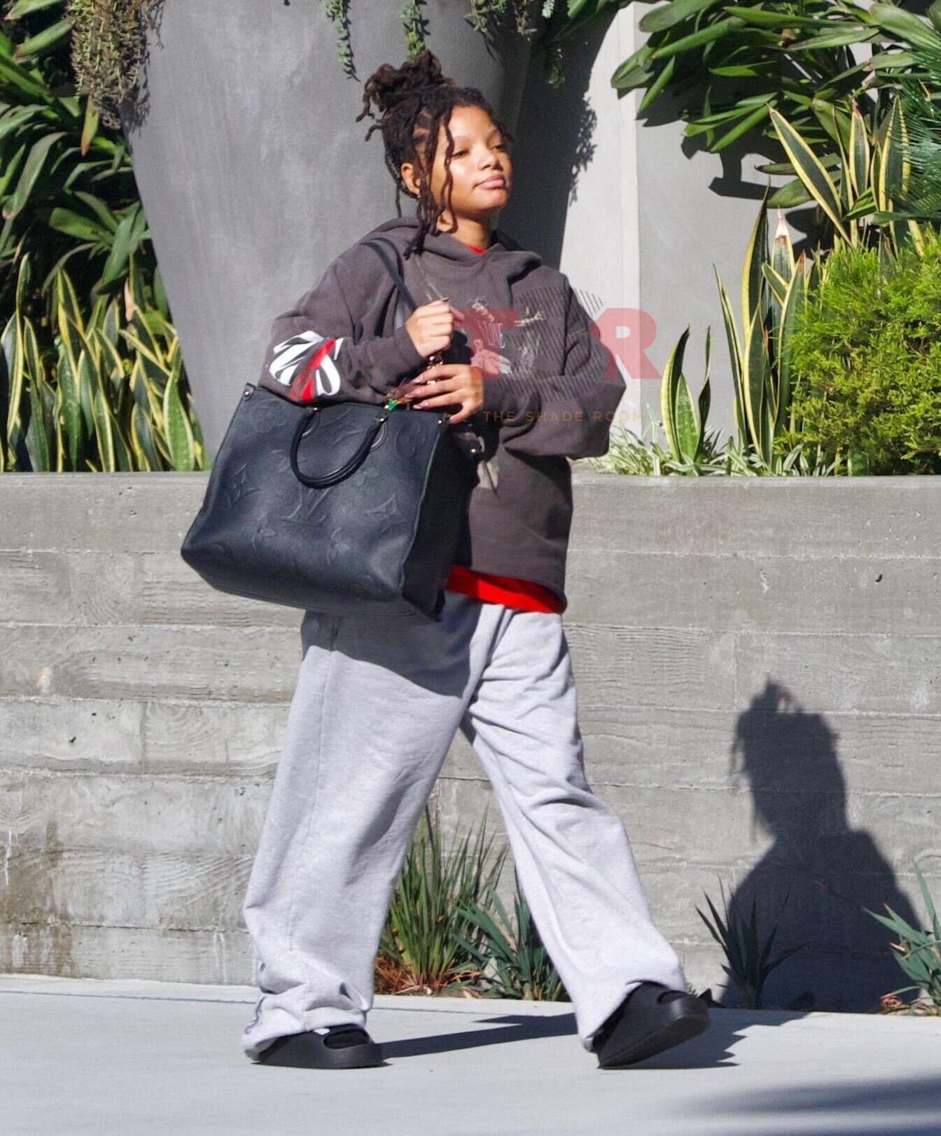 Is She Giving Bump? Halle Bailey Spotted With DDG (Exclusive)