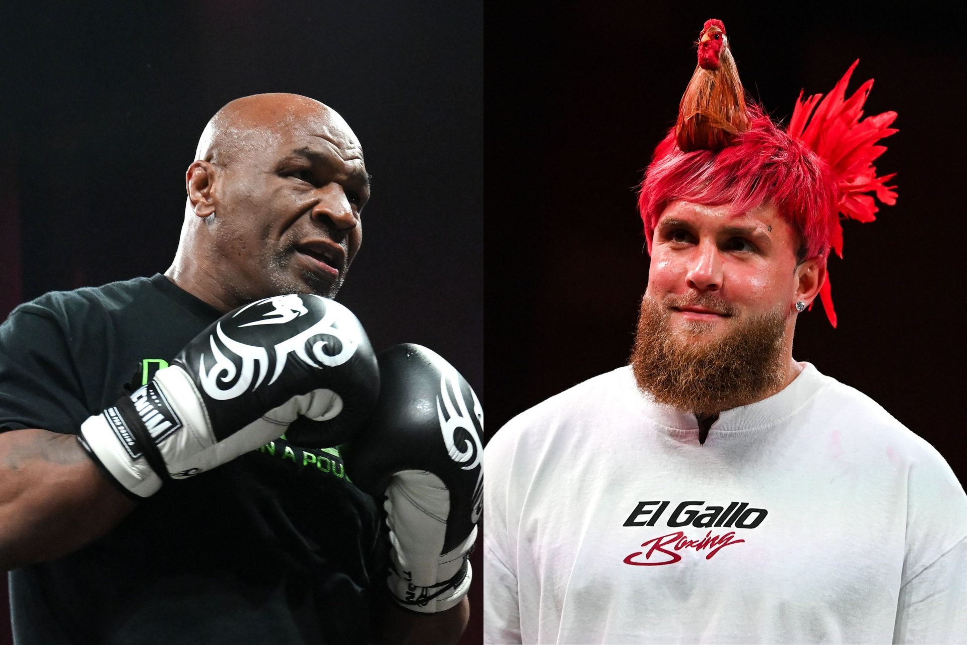 Mike Tyson & Jake Paul Speak Out After Their Viral Boxing Match
