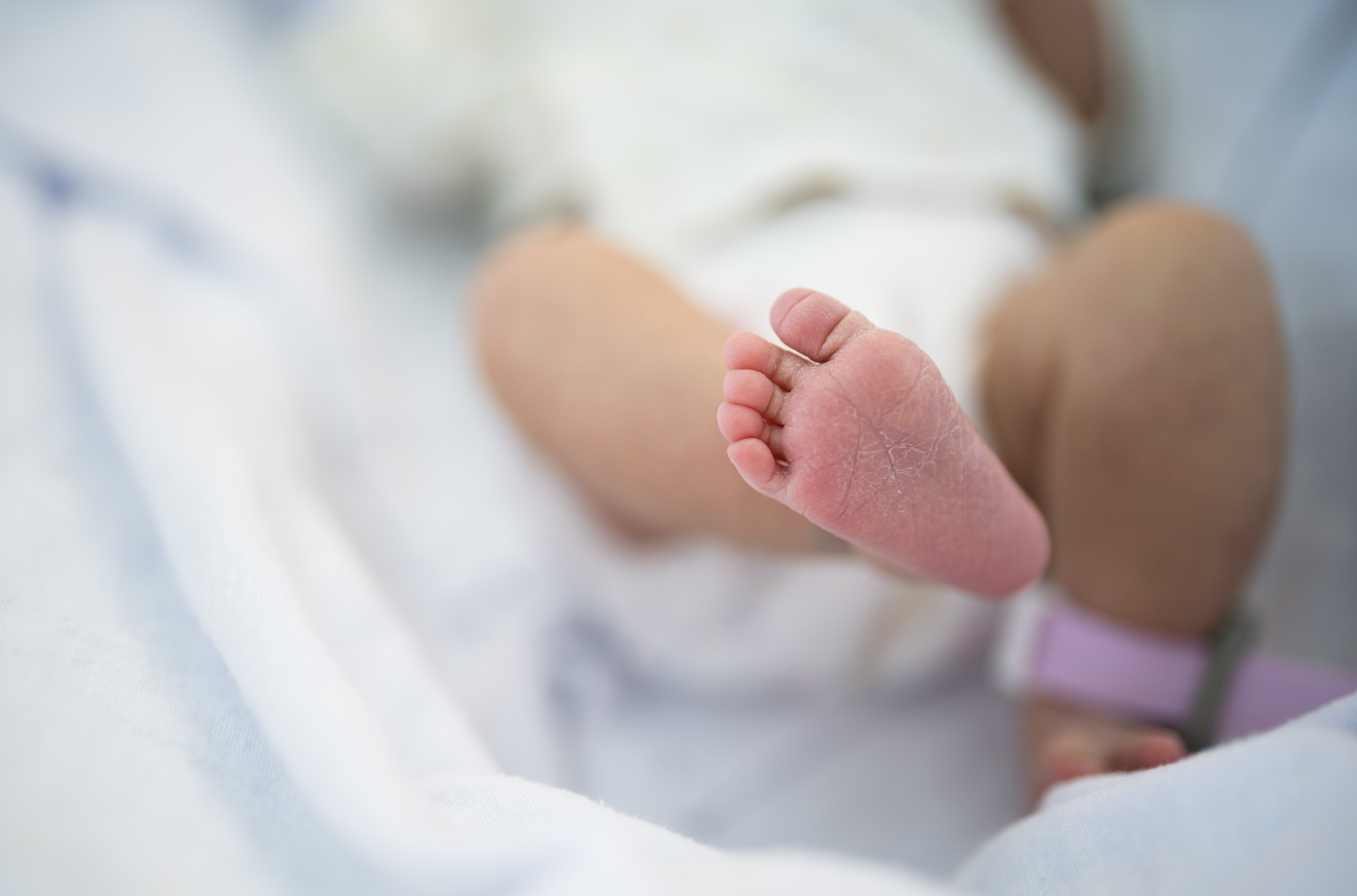 Dr. Hong-An Jan Faces Charges For Charles Wang Circumcision